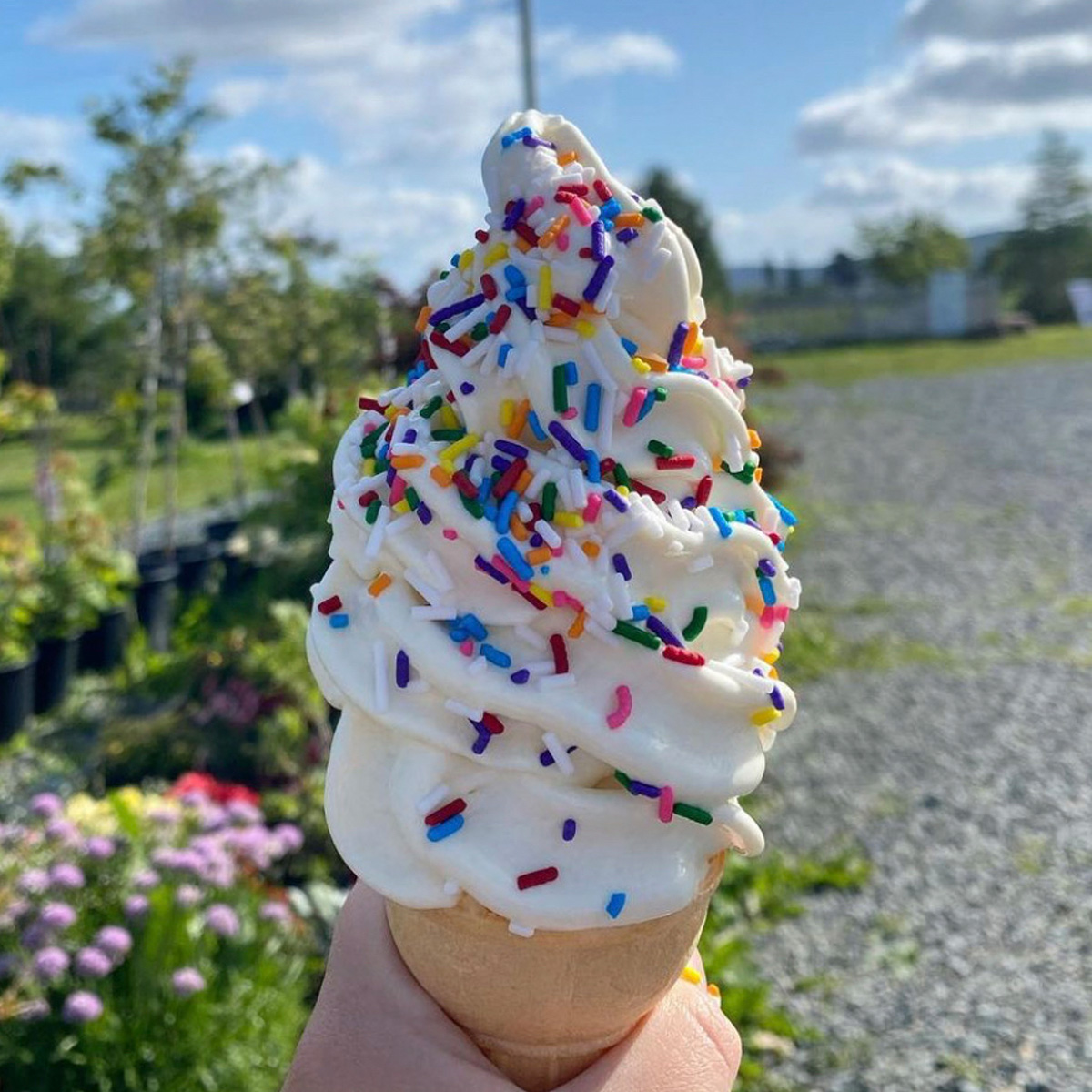 Lester's Farm Market - Home