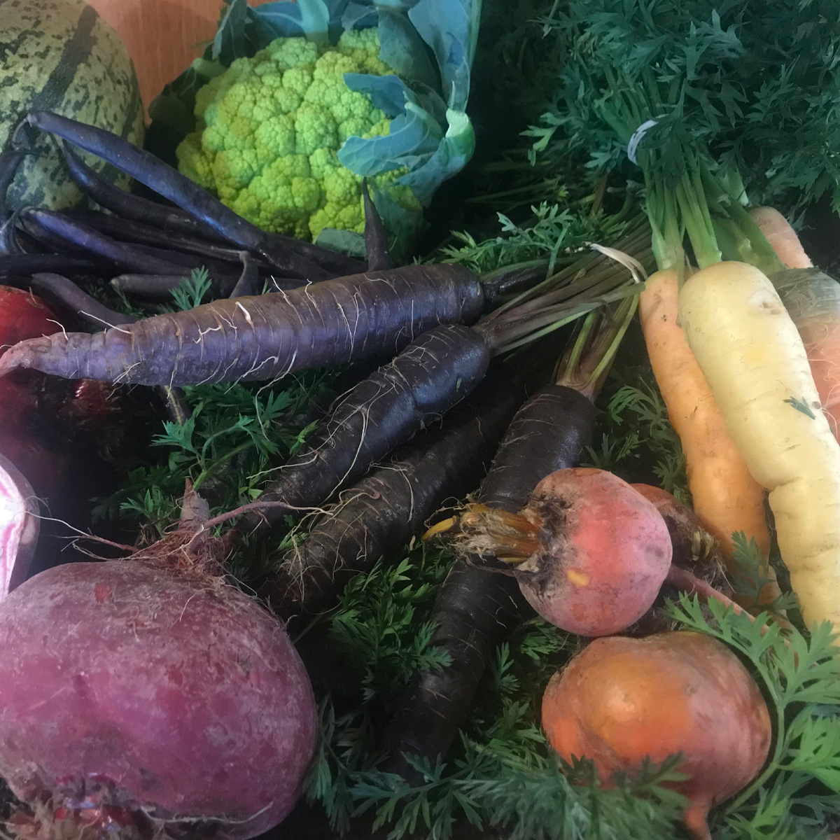 Lester's Farm Market - Home